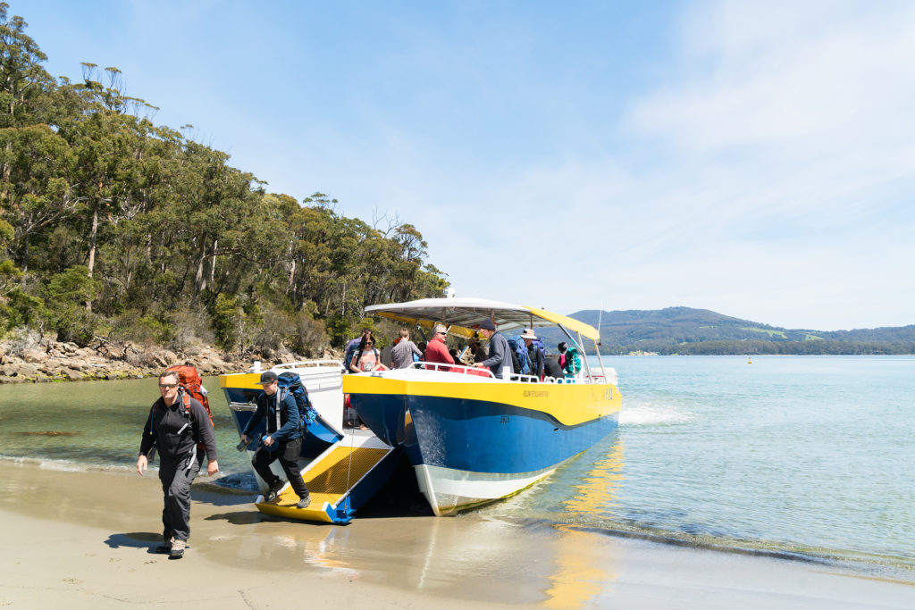 Walking the Three Capes Track in Tasmania - Renee Roaming