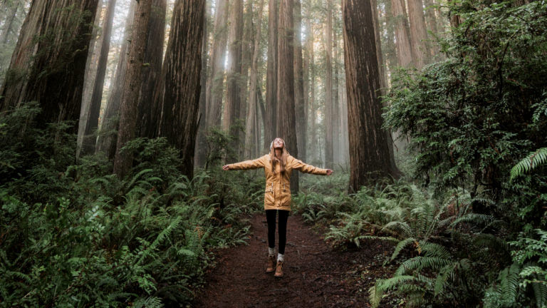 2018 Reflections and 2019 Intentions - Renee Roaming