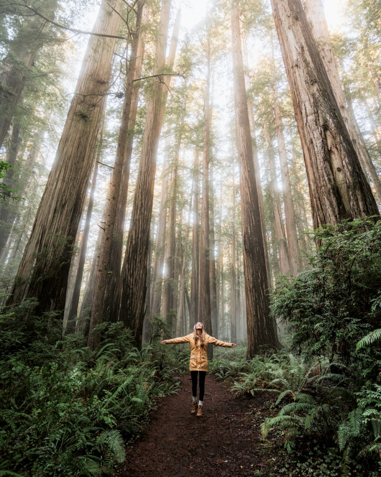 7 Magical Winter Outdoor Adventures For The Holidays