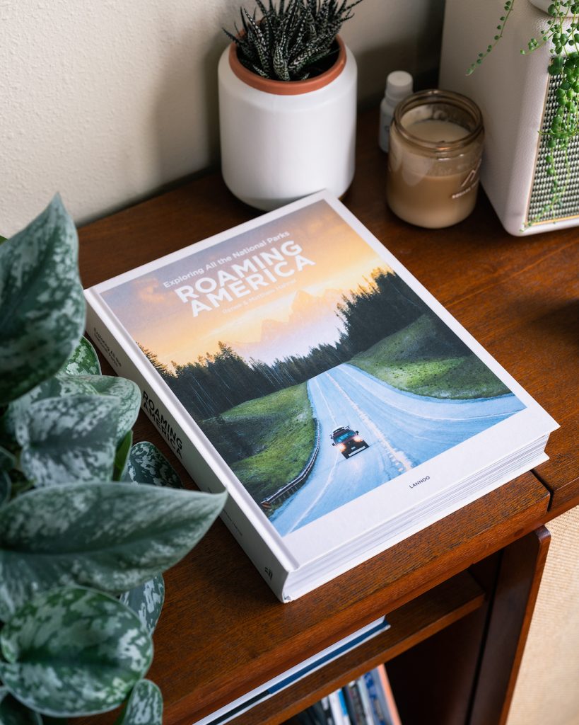 2019 Reflections and 2020 Intentions - Renee Roaming