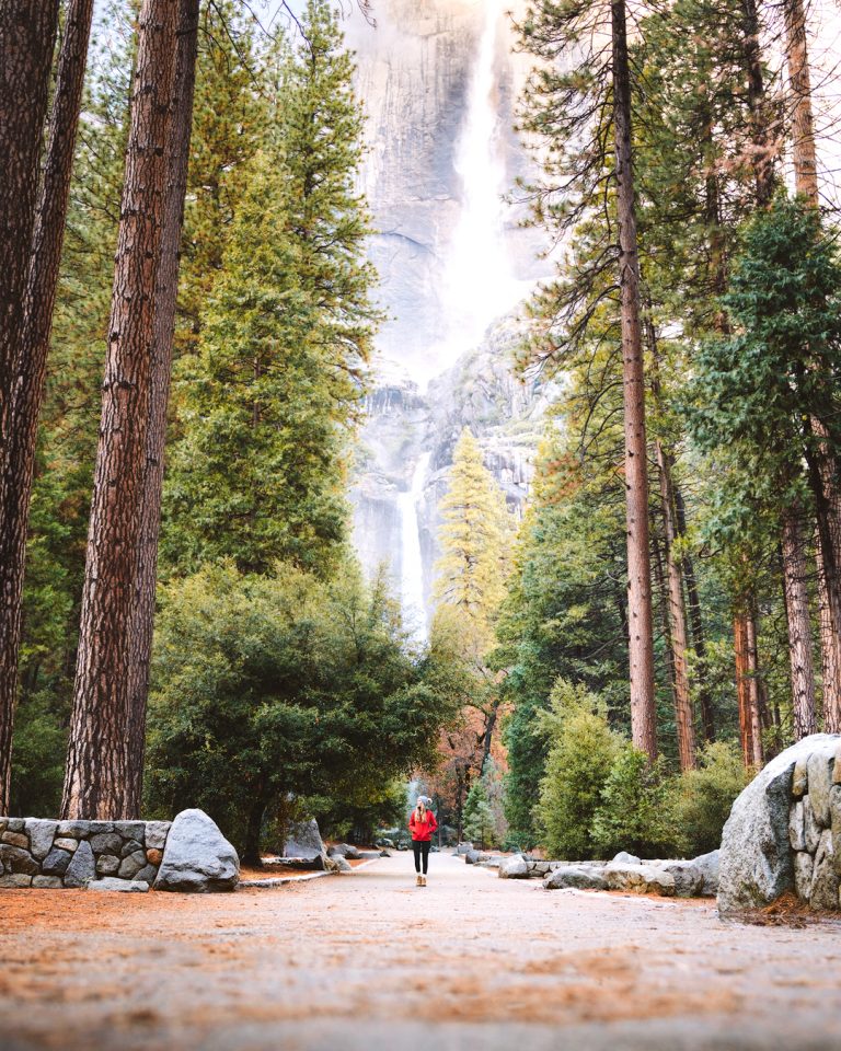 The Ultimate Guide to Exploring Yosemite National Park