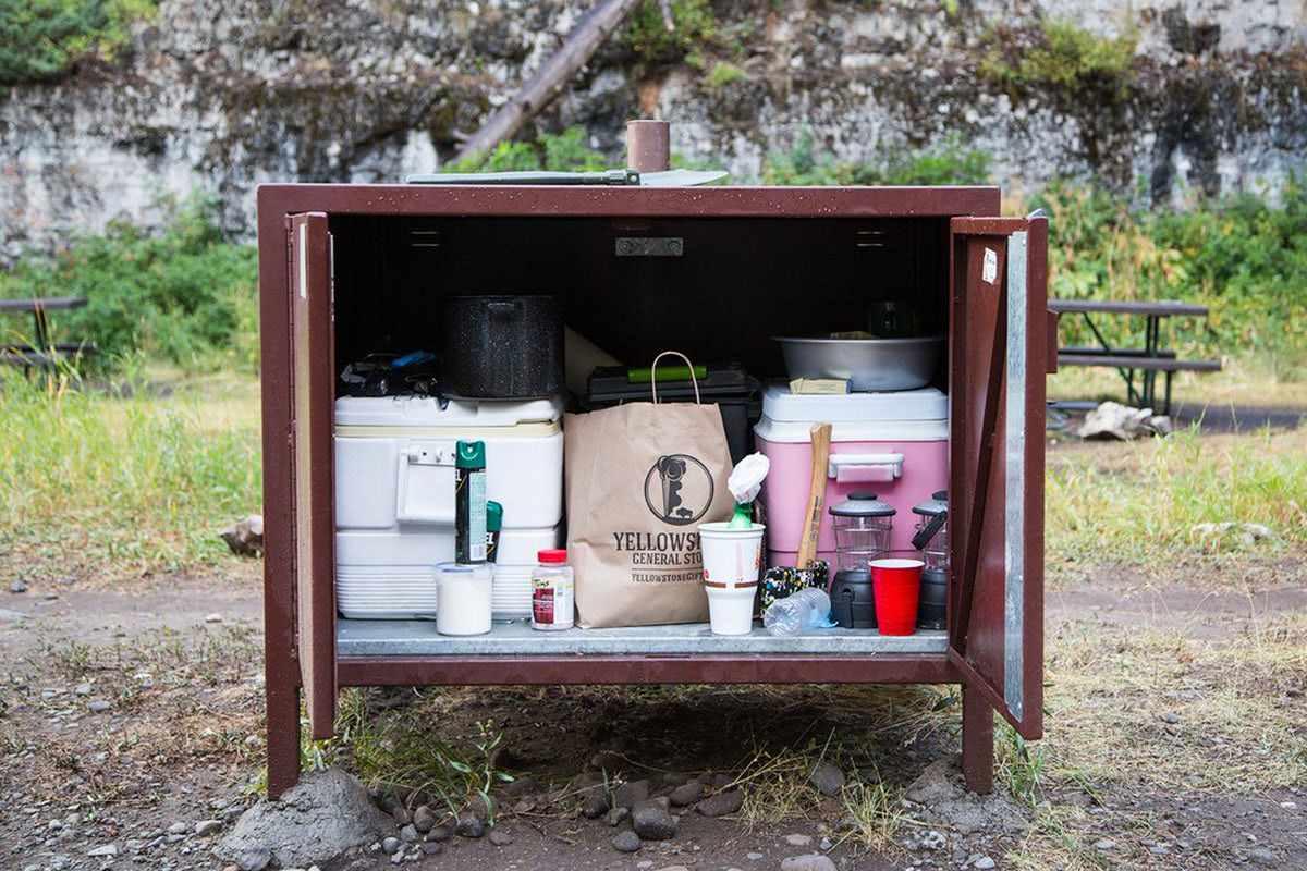 Bear Safety when Hiking and Camping - Renee Roaming