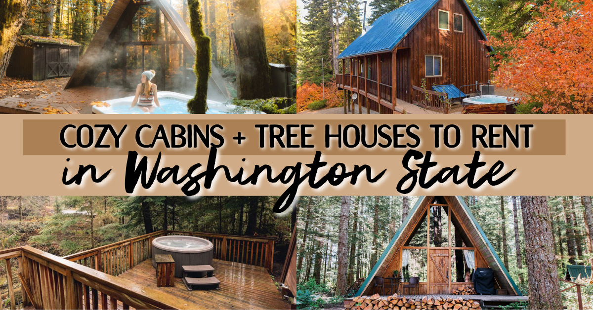 20 Magical Oregon Treehouses You Can Rent - Renee Roaming