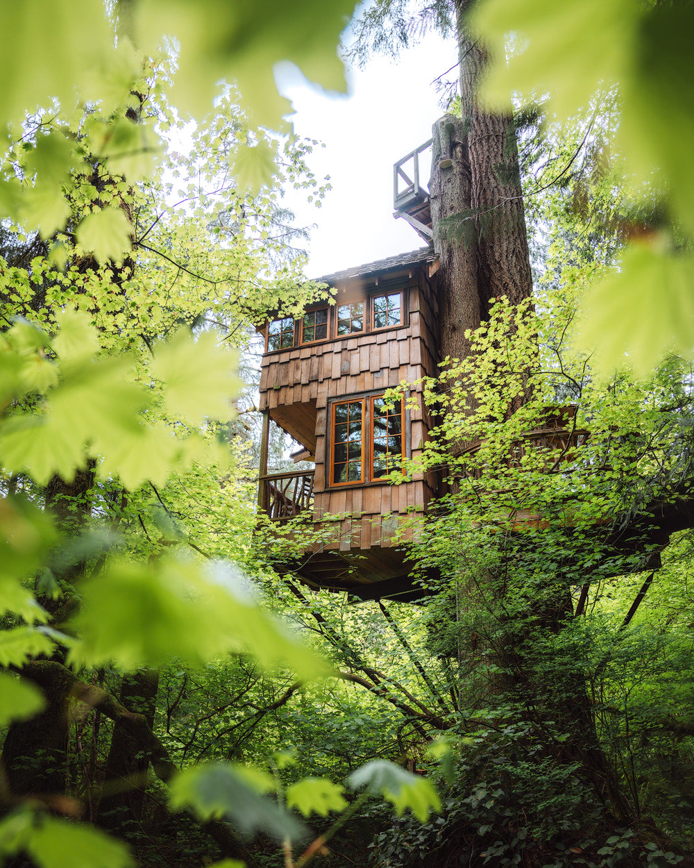 24 Washington Cabins and Tree Houses to Rent - Renee Roaming