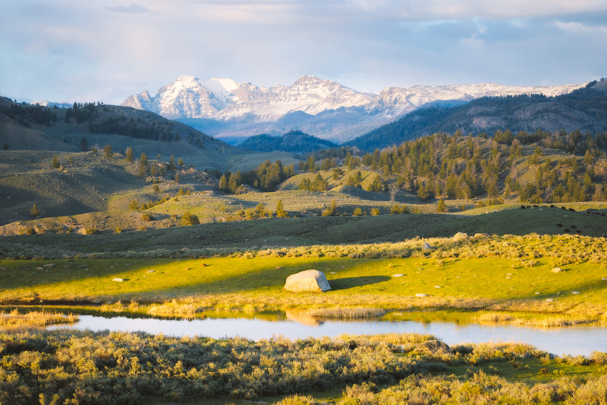 Ultimate Yellowstone National Park Guide and Itinerary