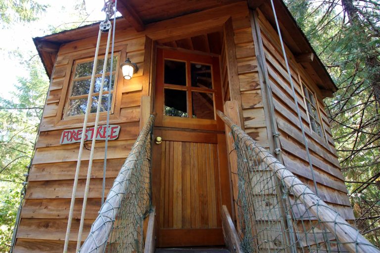 20 Magical Oregon Treehouses You Can Rent - Renee Roaming