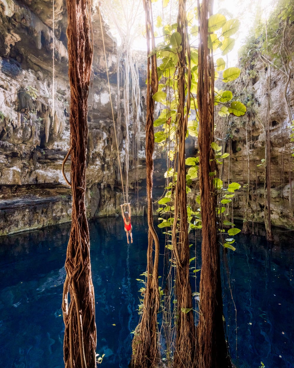 8 Best Cenotes Near Tulum & Tips For Visiting Cenotes - Renee Roaming
