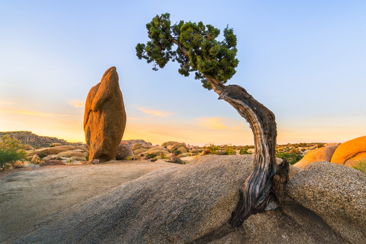 9 Best National Parks to Visit in Spring - Renee Roaming