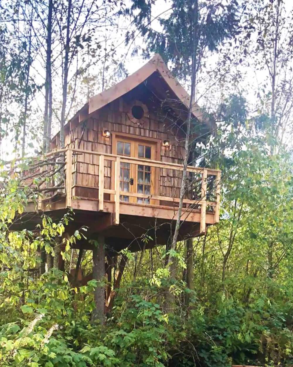 31 Best Pacific Northwest Treehouse Rentals - Renee Roaming