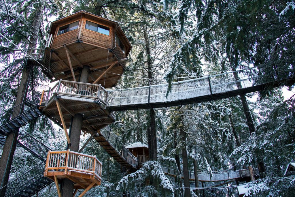 20 Magical Oregon Treehouses You Can Rent - Renee Roaming