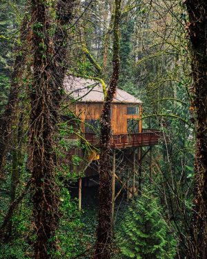 20 Magical Oregon Treehouses You Can Rent - Renee Roaming