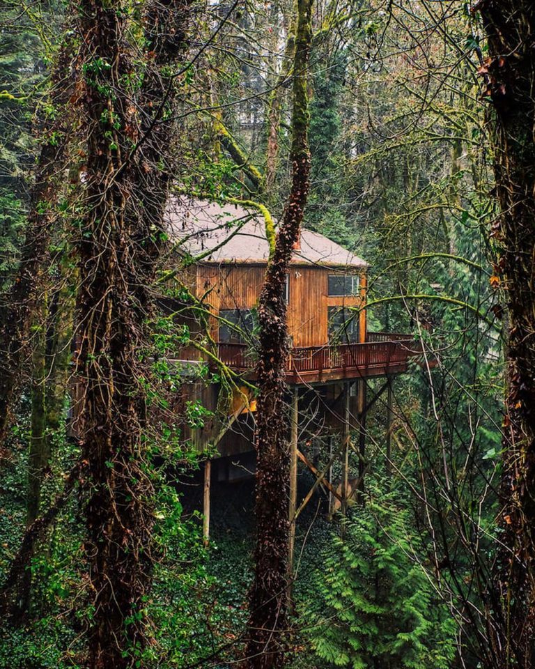 20 Magical Oregon Treehouses You Can Rent - Renee Roaming
