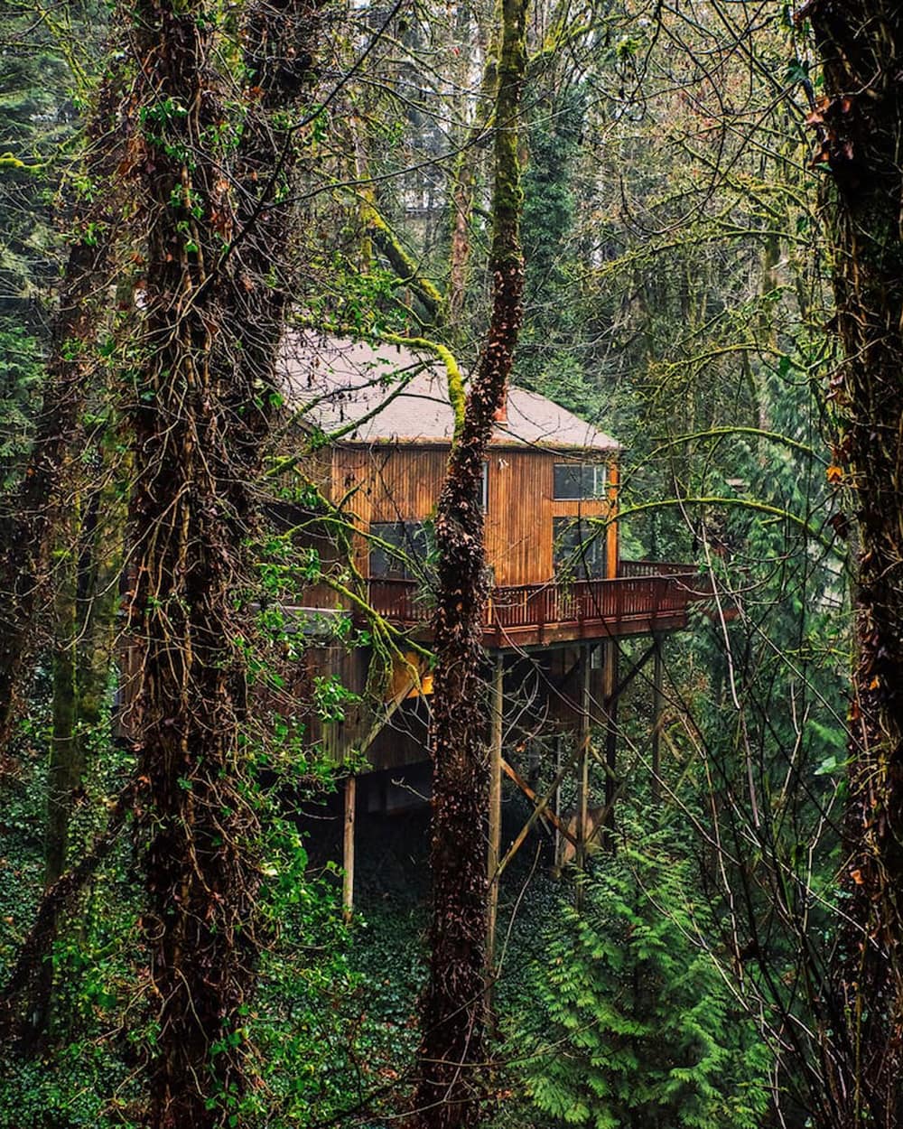 20 Magical Oregon Treehouses You Can Rent - Renee Roaming