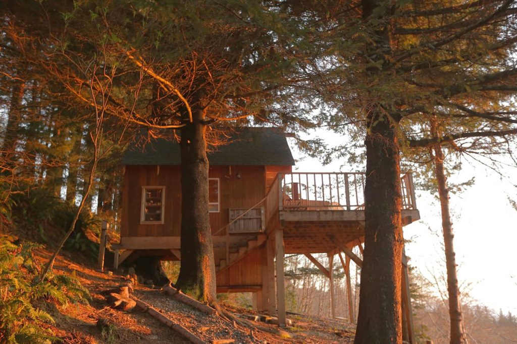 20 Magical Oregon Treehouses You Can Rent - Renee Roaming