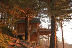 20 Magical Oregon Treehouses You Can Rent - Renee Roaming