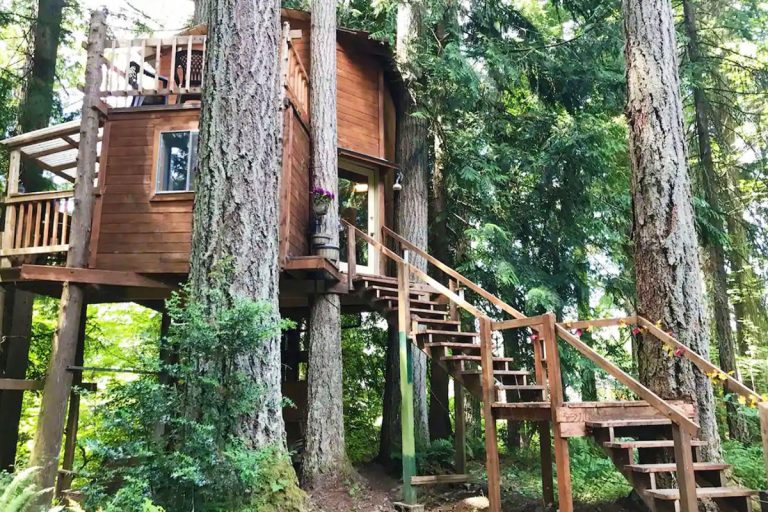31 Best Pacific Northwest Treehouse Rentals - Renee Roaming
