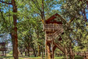 20 Magical Oregon Treehouses You Can Rent - Renee Roaming