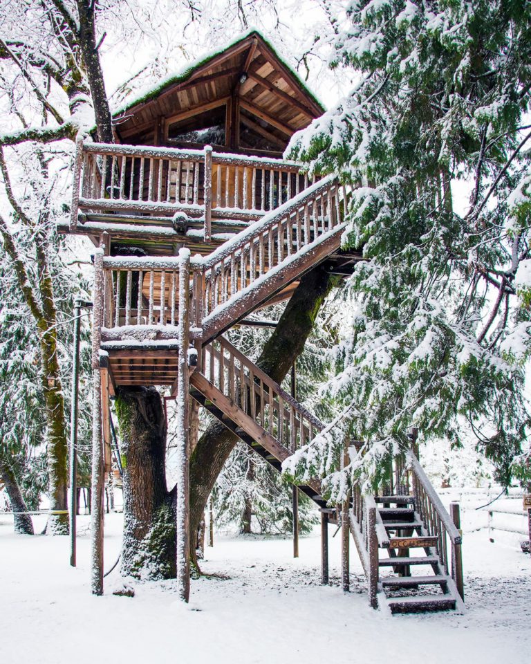 20 Magical Oregon Treehouses You Can Rent - Renee Roaming