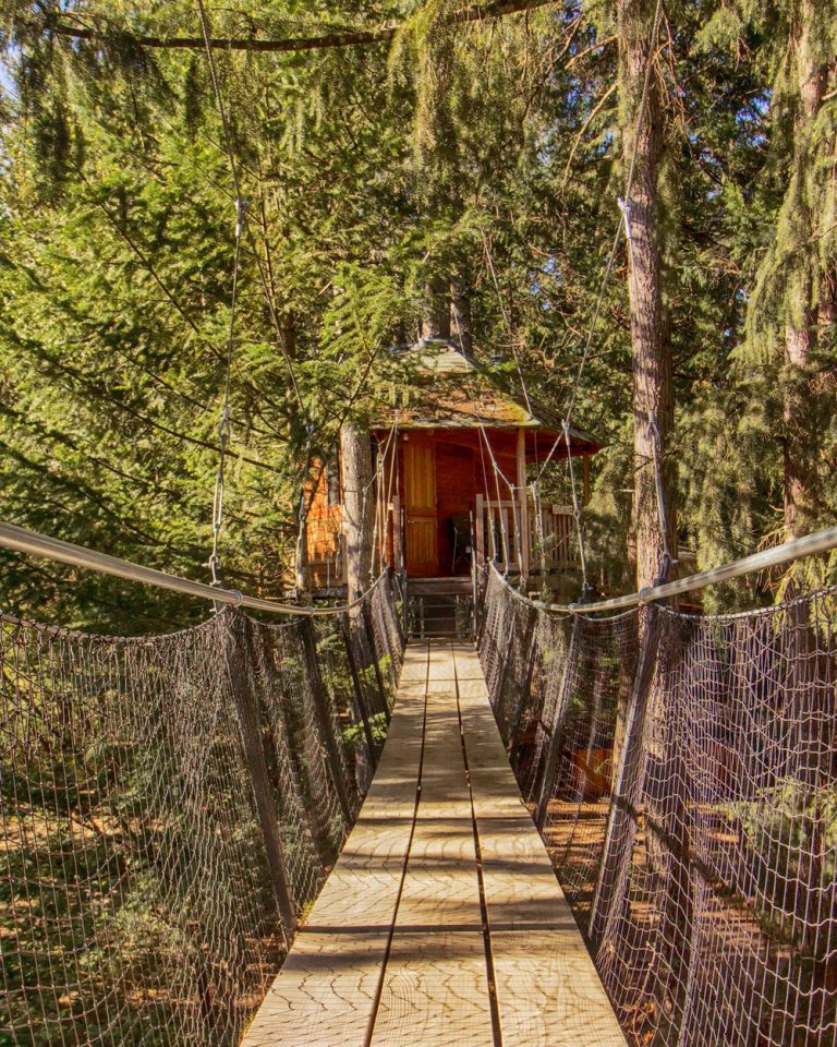 20 Magical Oregon Treehouses You Can Rent - Renee Roaming