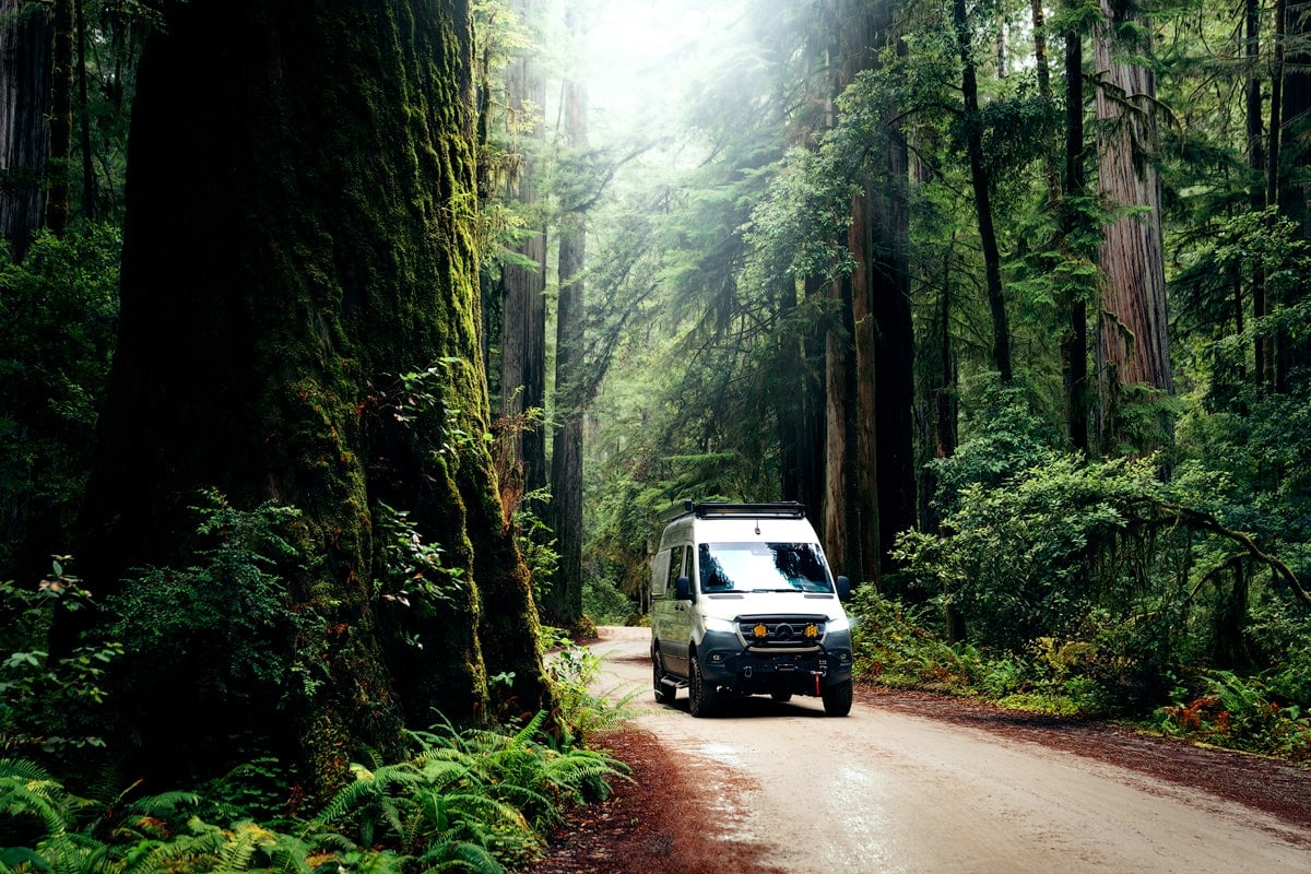 Ultimate Redwood National Park Itinerary and Guide - Renee Roaming