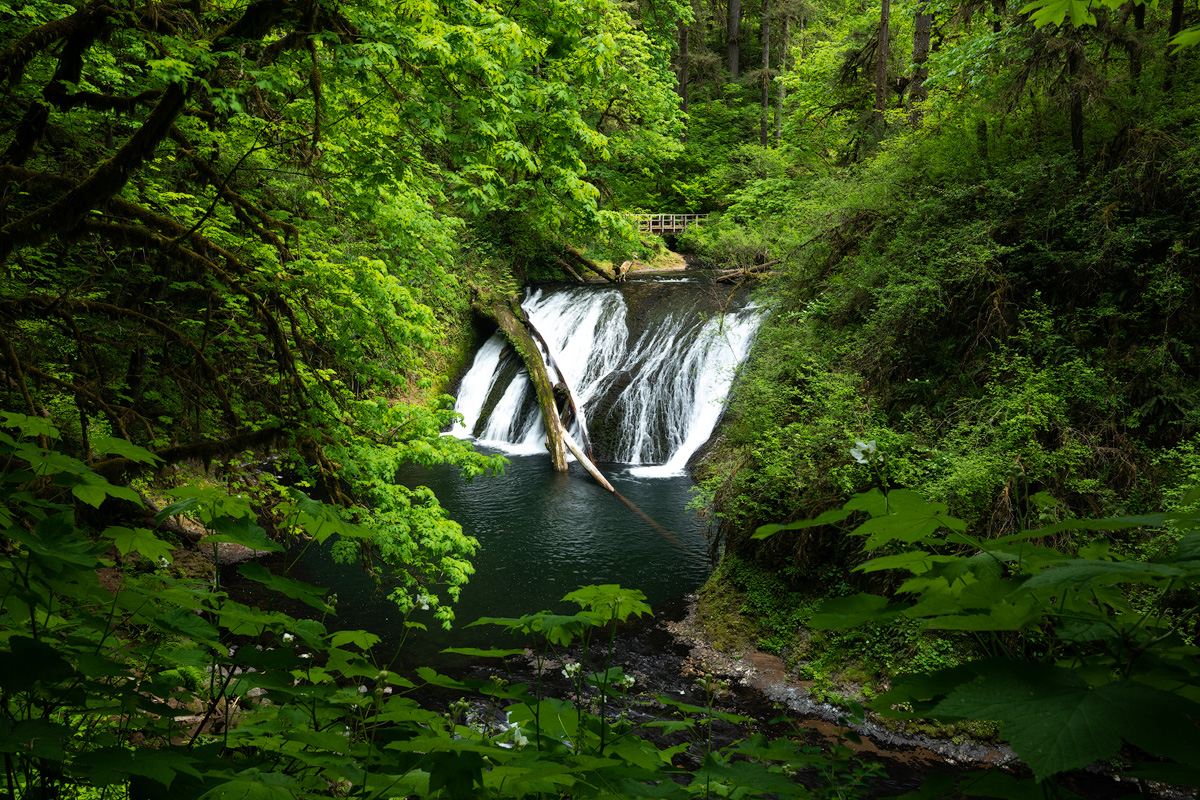 Ultimate Guide to Hiking the Trail of Ten Falls in Silver Falls State ...