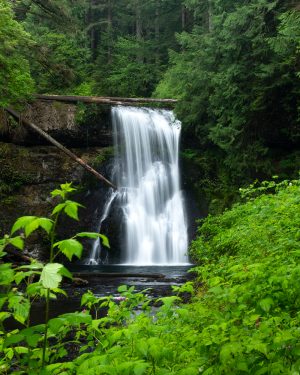 Ultimate Guide to Hiking the Trail of Ten Falls in Silver Falls State ...