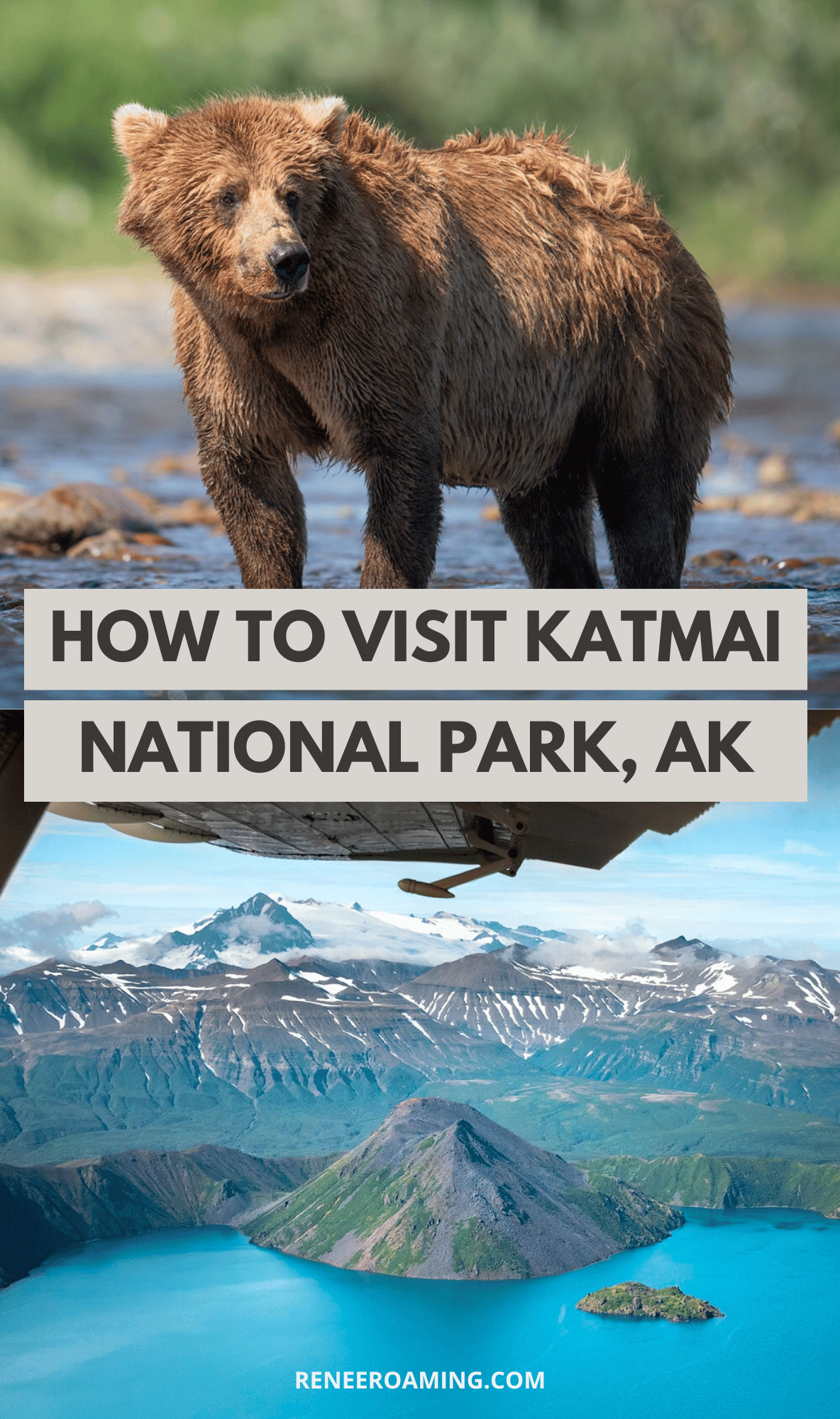 How To Visit Katmai National Park - A Comprehensive Park Guide