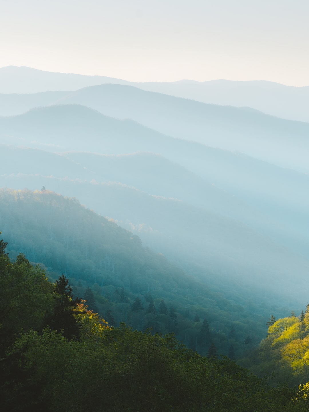Ultimate Great Smoky Mountains & Gatlinburg Itinerary - Renee Roaming